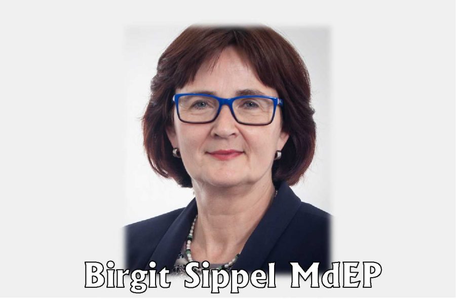 Birgit Sippel auf Listenplatz eins der SPD-Region Westliches Westfalen gewählt › SPD Kreis Soest